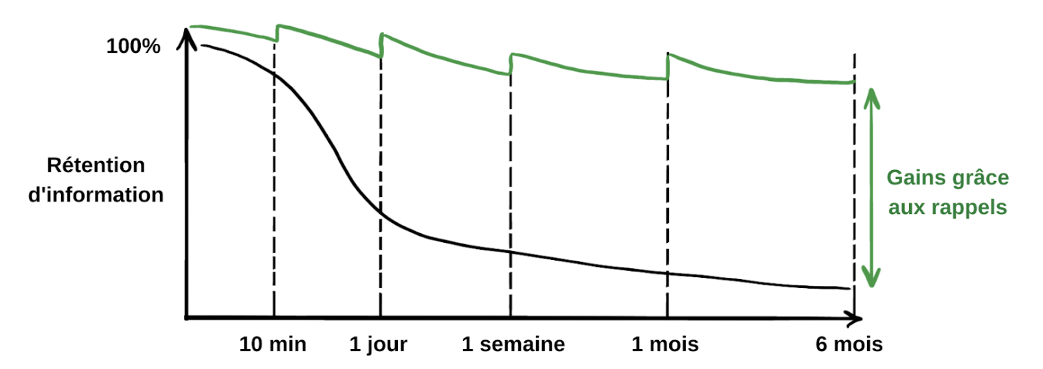 Réviser en PASS : méthode complète pour réussir 2025 | Diane AI | Diane ...